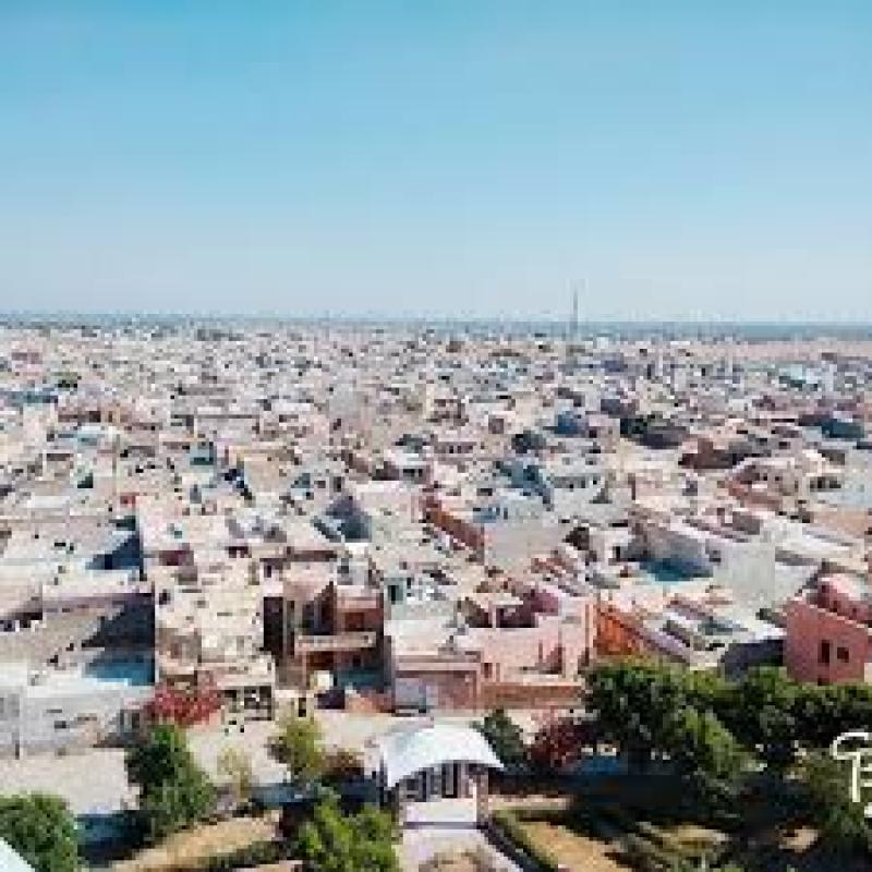 Basni clean up Drive - River Cleanup