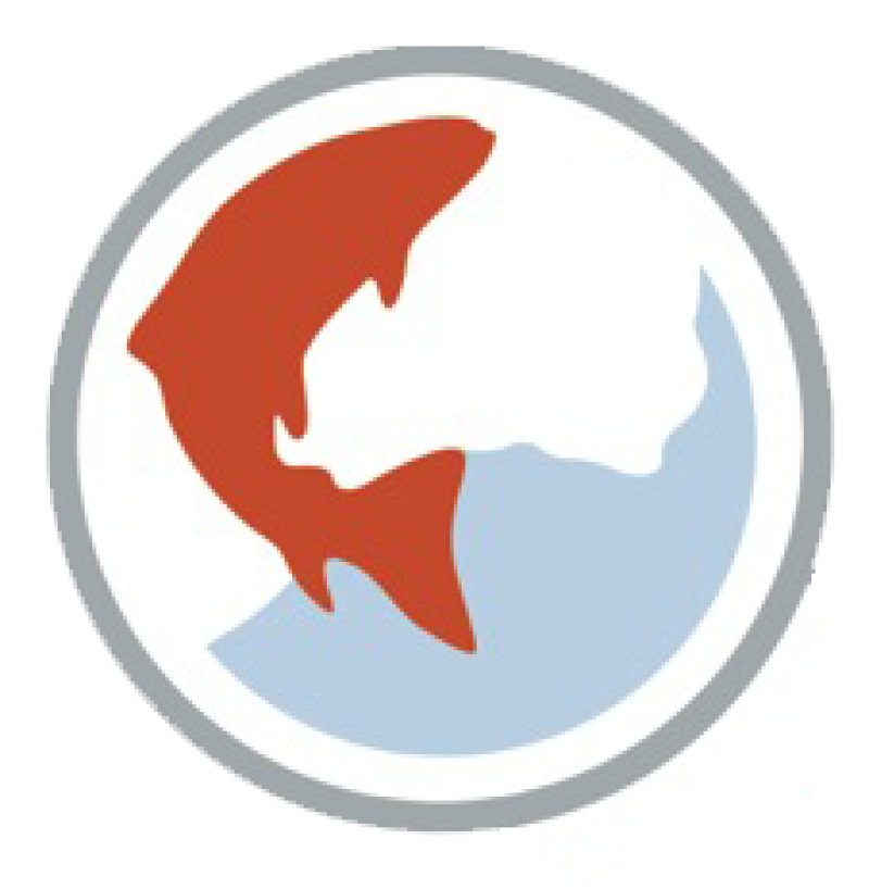 River Sunday, Chester - River Cleanup