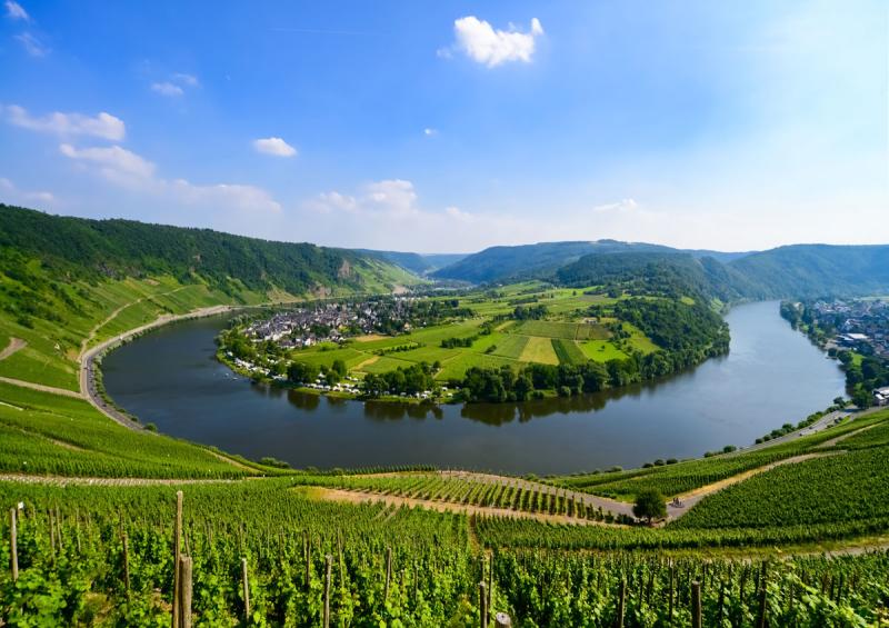 River Cleanup Germany - River Cleanup