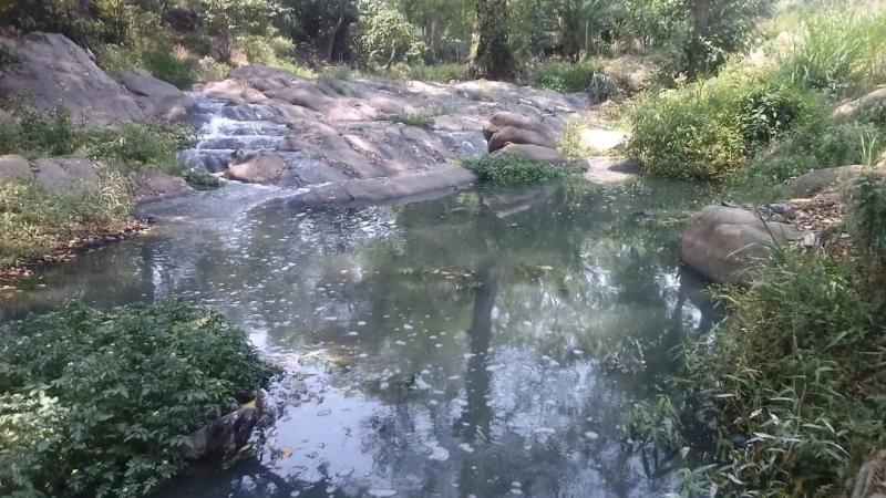 Ringadzi River - River Cleanup